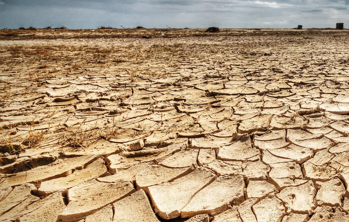 Anul agricol curent se anunță unul extrem de secetos în România, cu ...