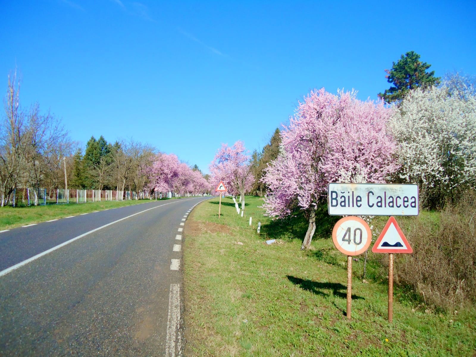 Stațiunea balneoclimaterică Băile Călacea, situată la 25 km de ...