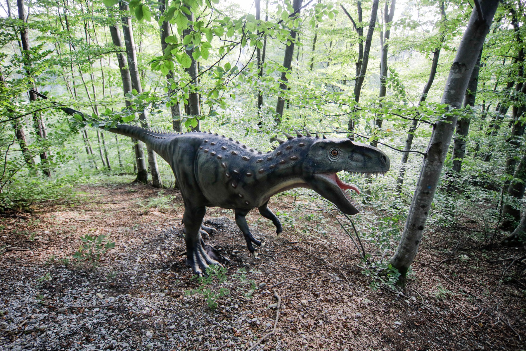 Dino Parc Râşnov, cel mai mare parc tematic cu dinozauri din Sud-Estul ...