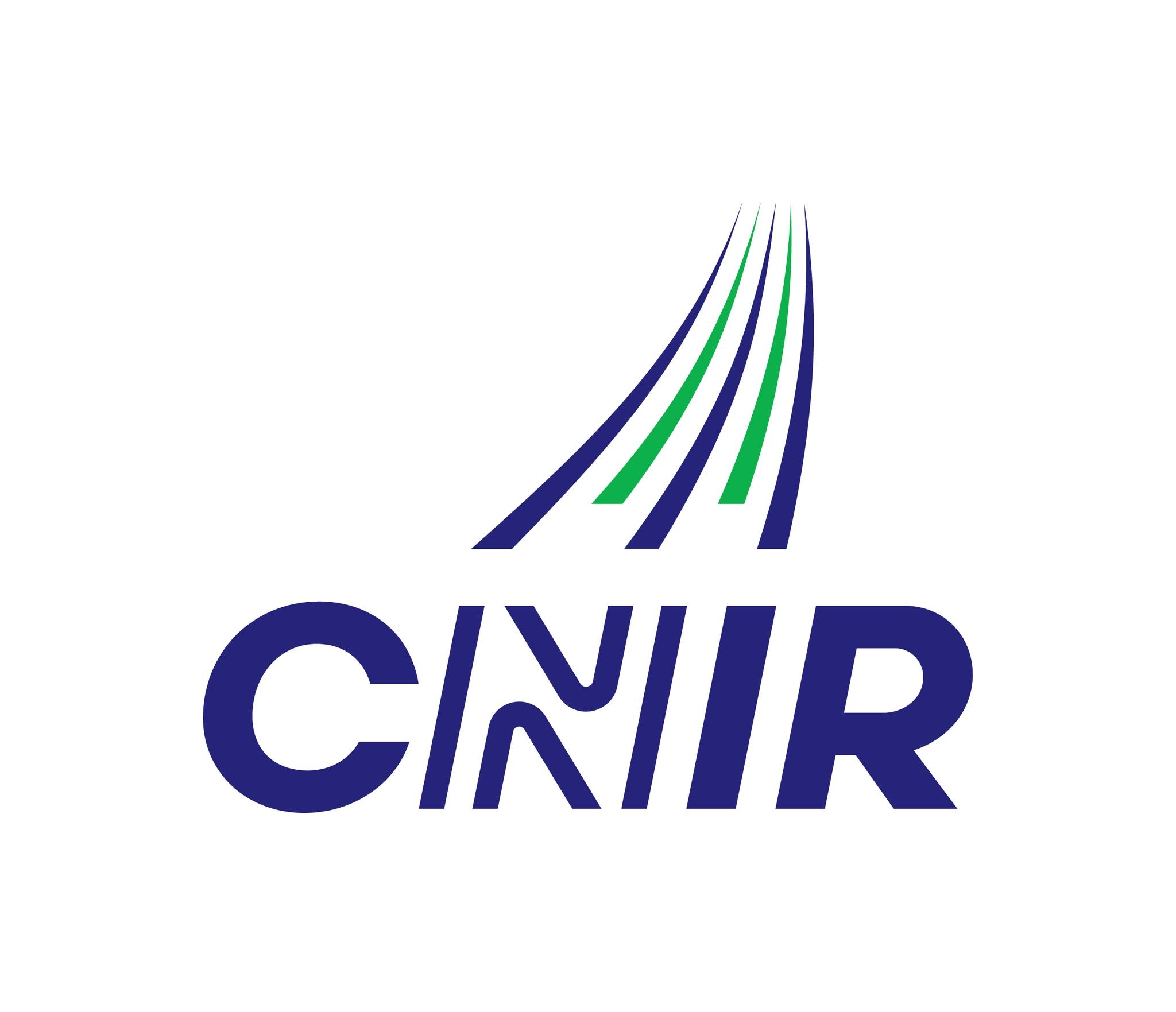 国家公路投资公司（CNIR）主任加布里埃尔-布德斯库（Gabriel Budescu）表示，该公司计划员工总数为 320 人，目前只有 73 人。