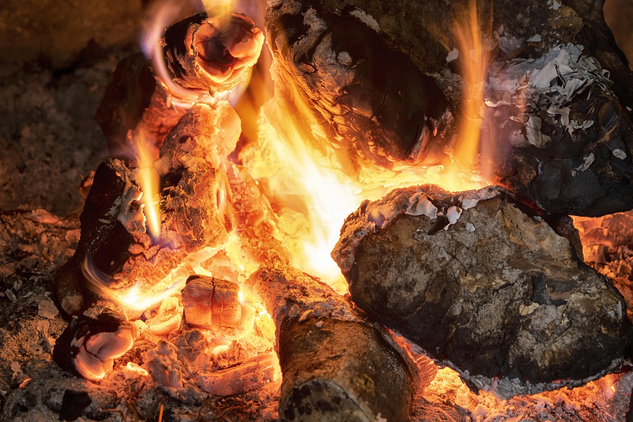 A Romanian man has died in a forest fire near Madrid and thousands of ...