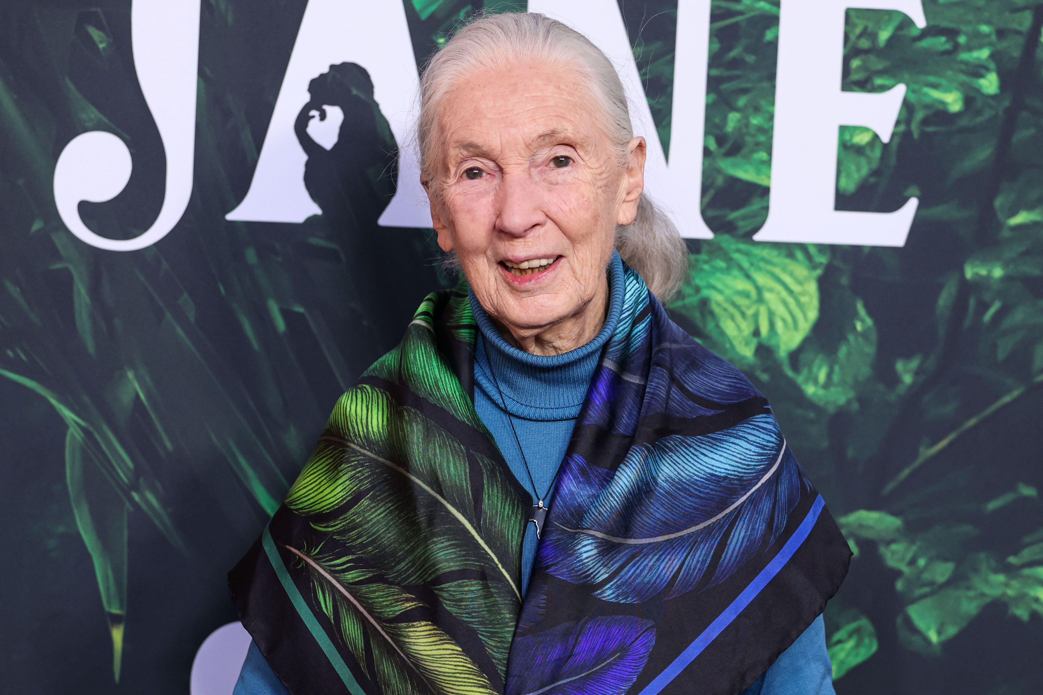 Jane Goodall, renowned primatologist and environmental activist, passed ...