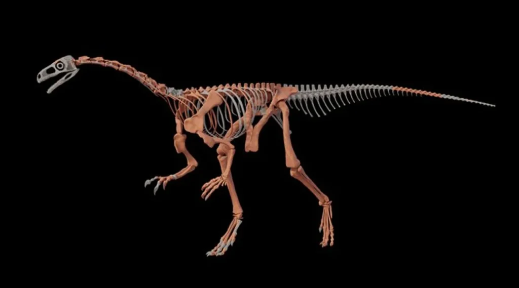 An Argentine research team has discovered the nearly complete skeleton ...
