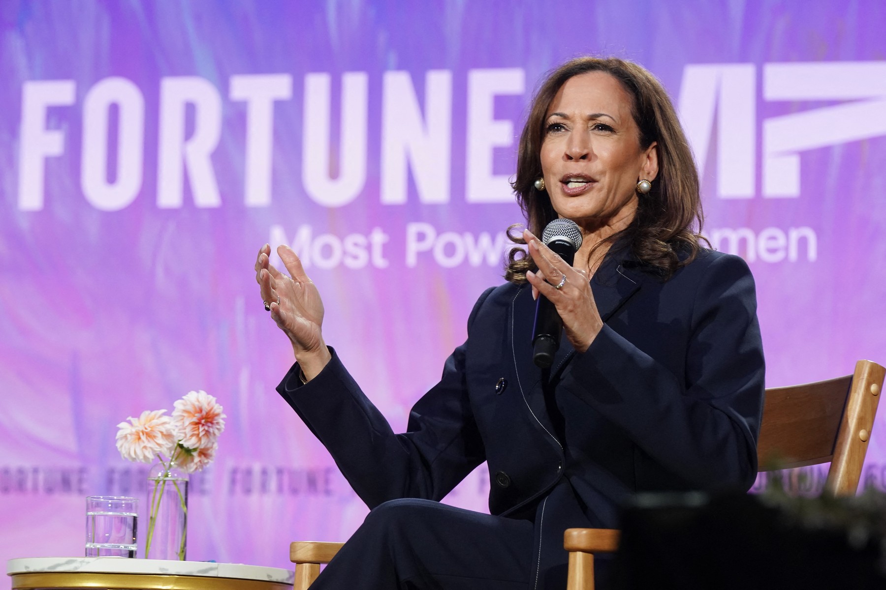 Kamala Harris hinted that she might run for president in 2028