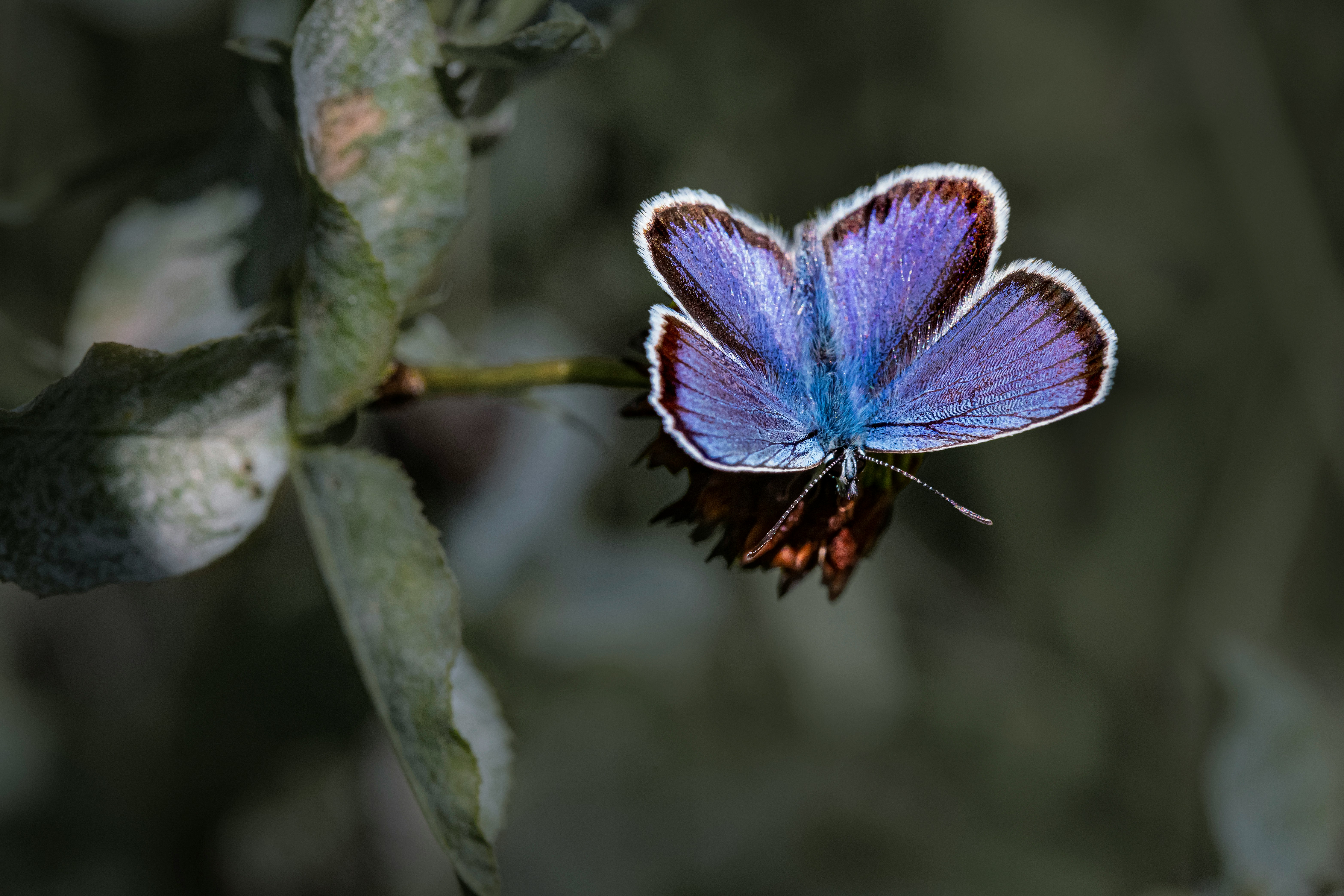Research in Brazil shows that the destruction of tropical forests and ...