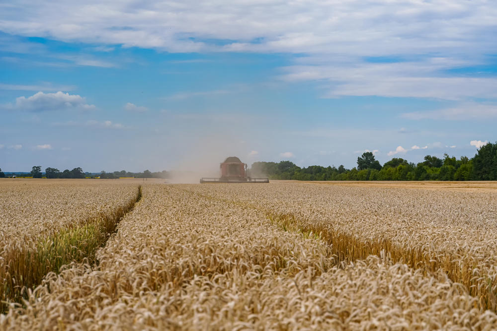 El Ministerio de Agricultura anuncia un progreso significativo en la ...