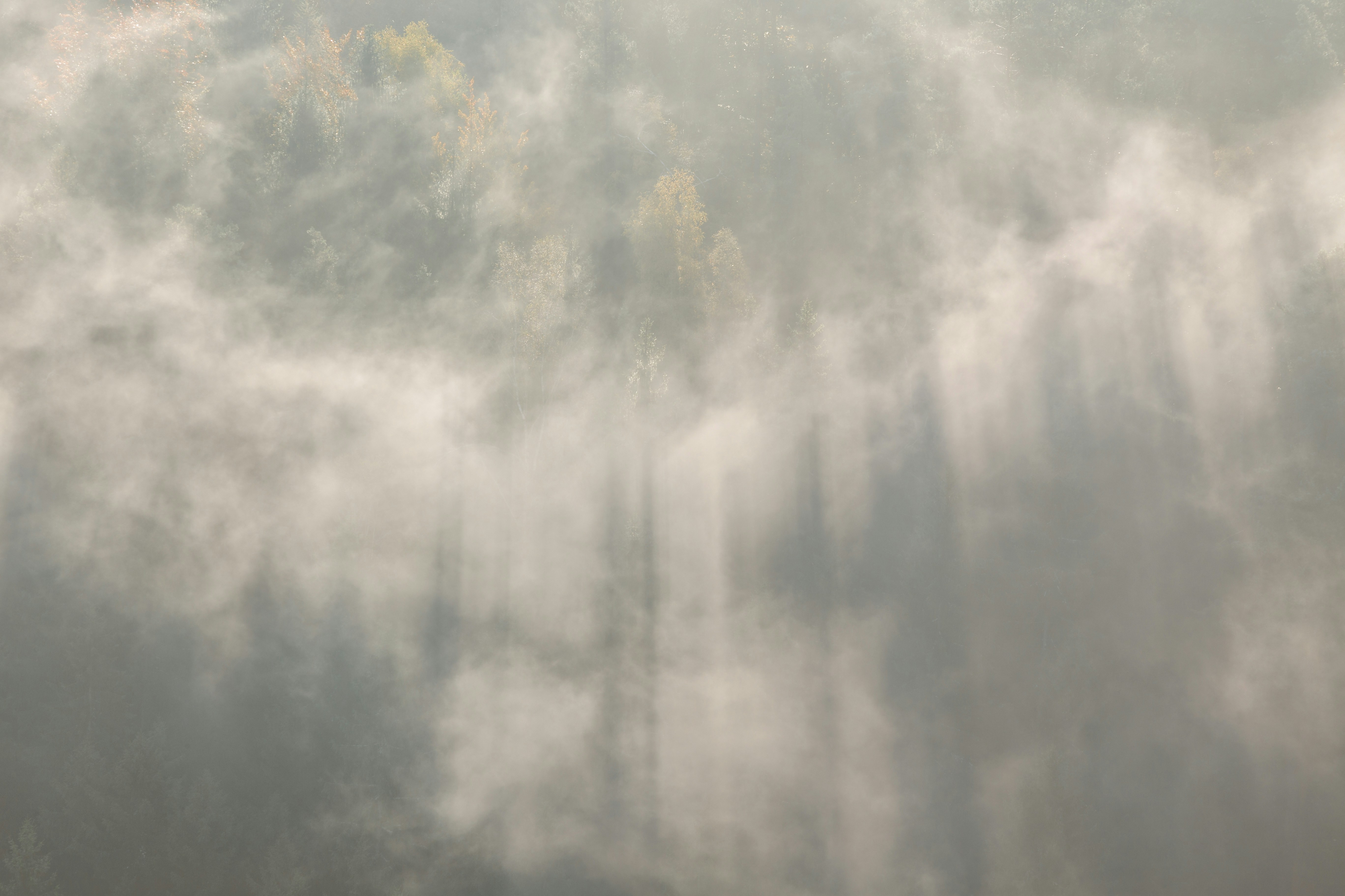 L'ANM a émis des alertes de Code Jaune de brouillard pour les ...