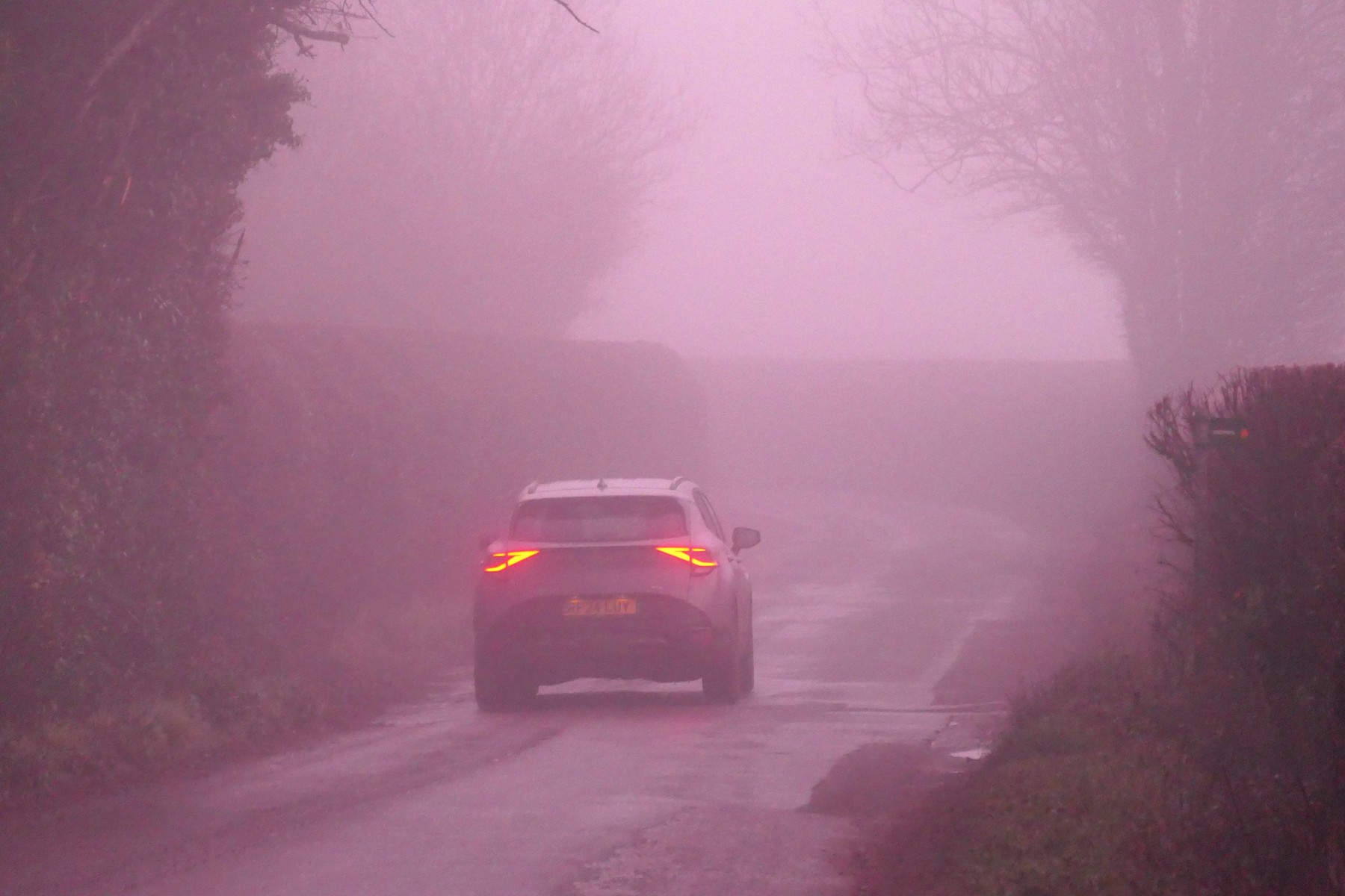 On Wednesday morning, a rare pink fog phenomenon covered several ...