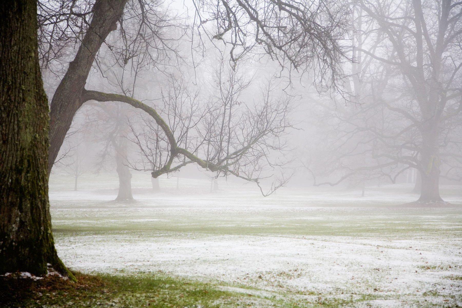 Today's weather is overcast, with dense fog in 15 counties ...