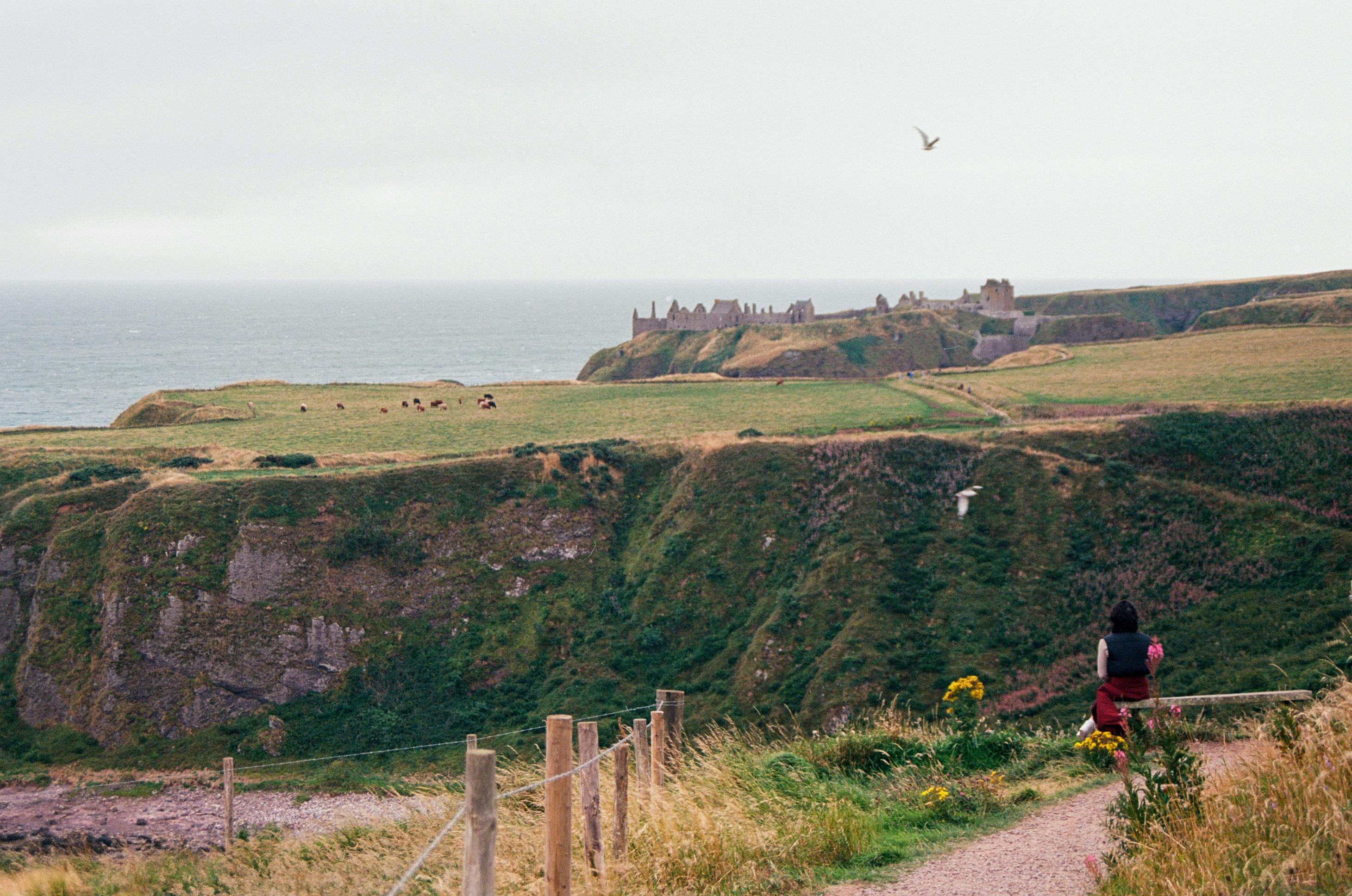 Scottish Wildlife Trust contrata un guardabosques para la ...
