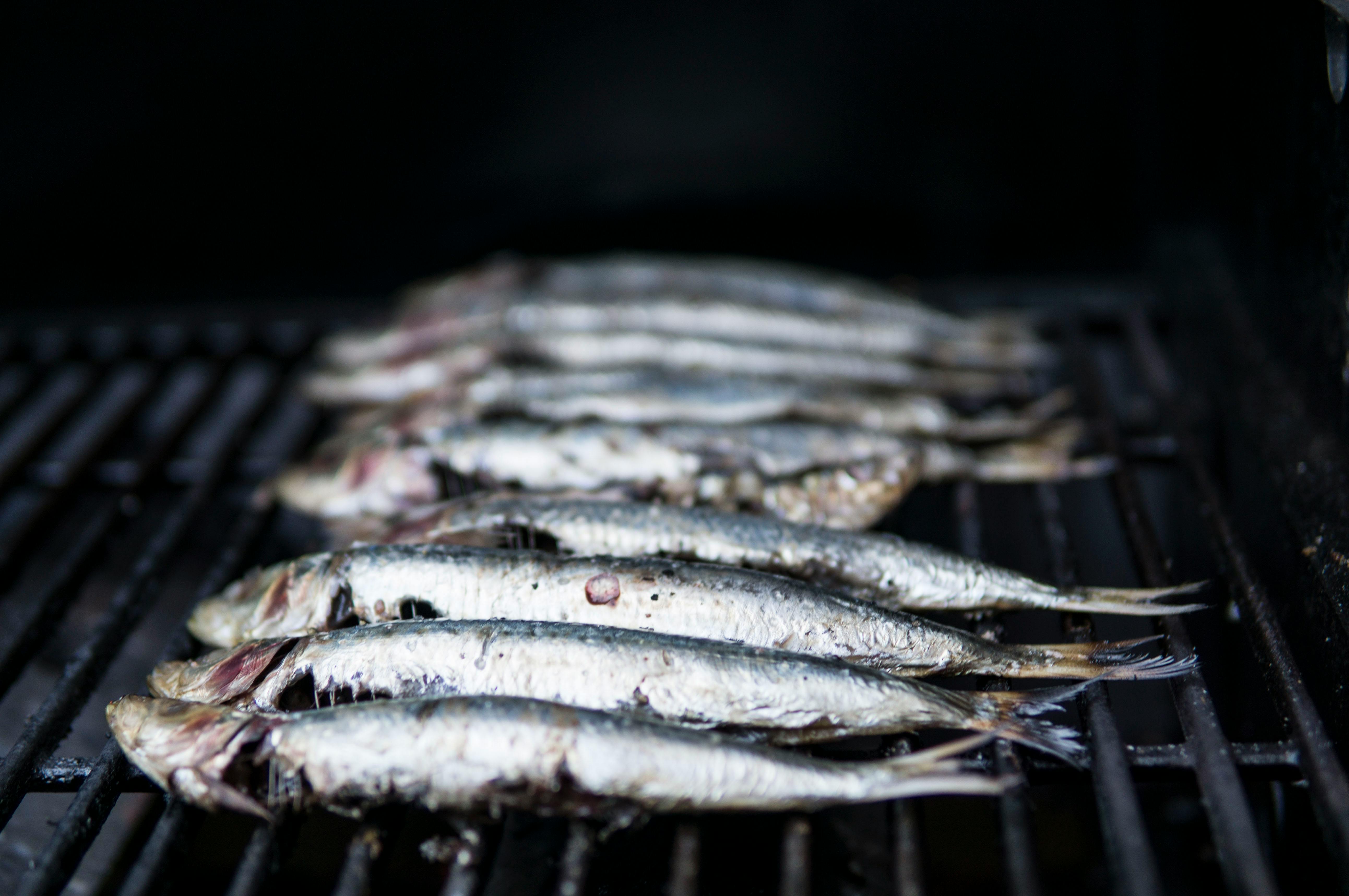 A study conducted by the 'Grigore Antipa' National Institute for Marine ...